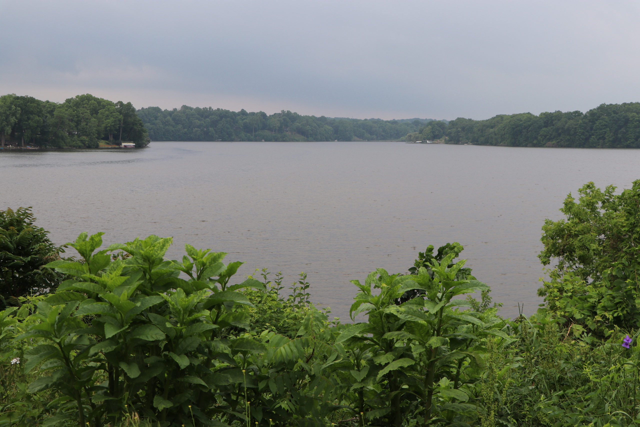 Lake Chapin is one of Southwest Michigan's Best-Kept Secrets - Village ...