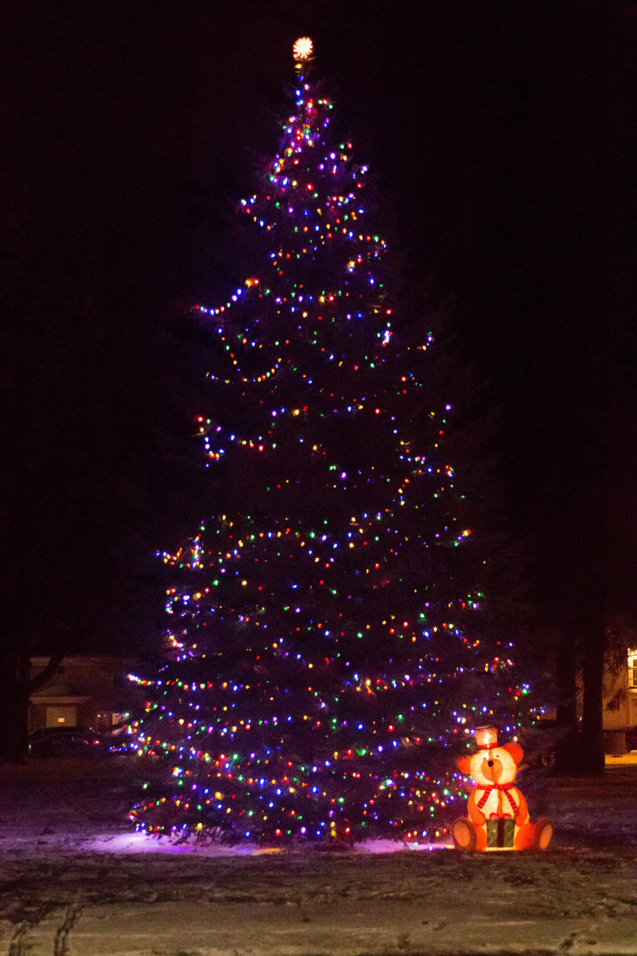 5 Ways To Celebrate Christmas 2020 in Berrien Springs - Village of ...